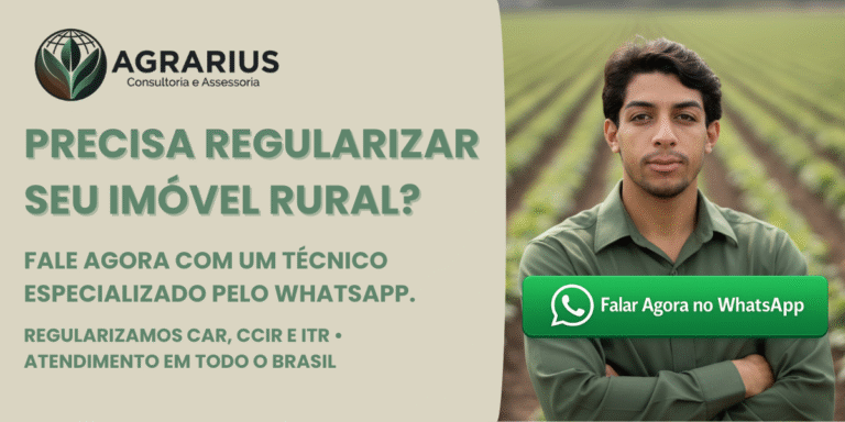 Retificar CAR - Entenda Como Funciona e Saiba Como Corrgir